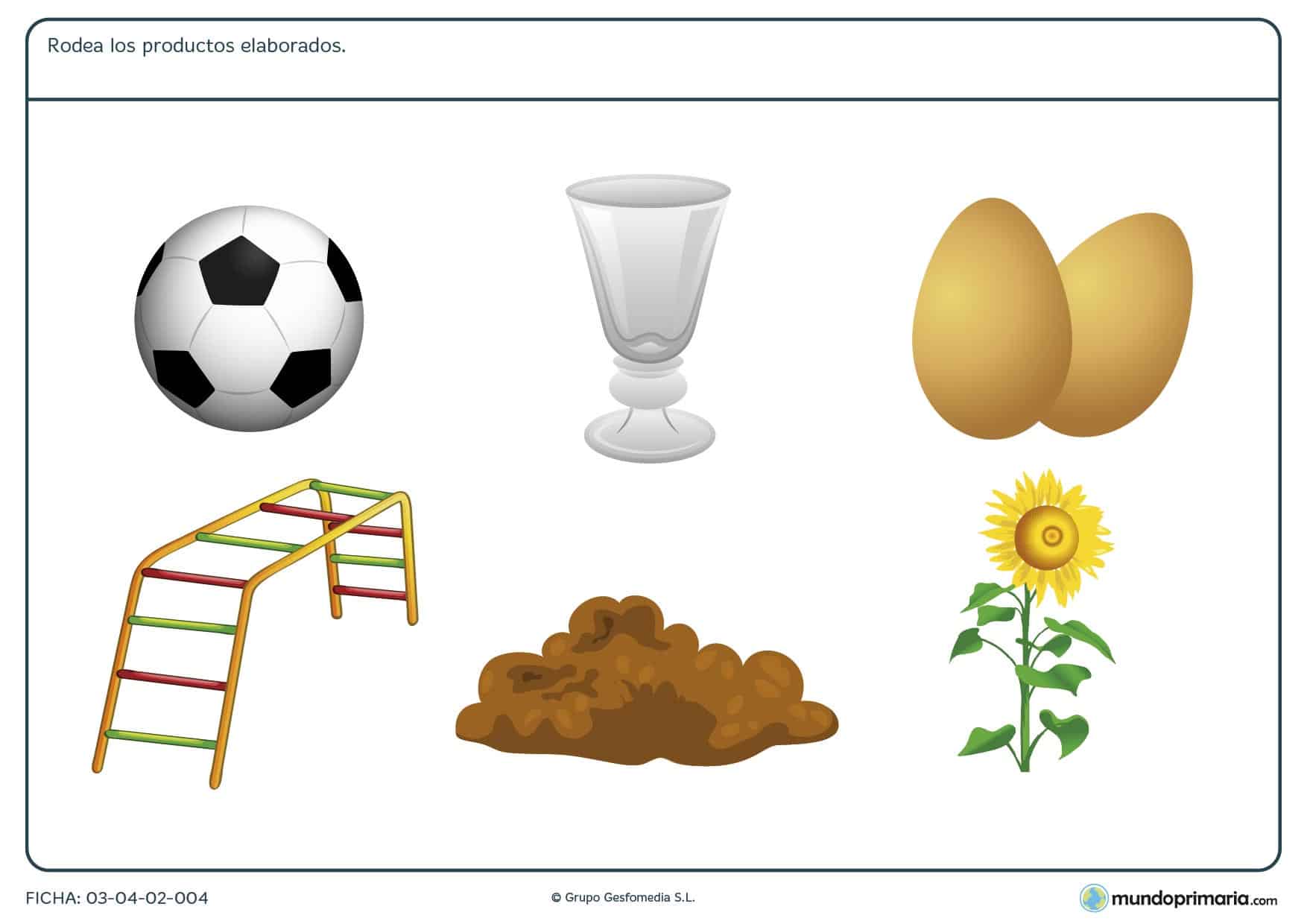 Ejercicios de ciencias naturales - Mundo Primaria