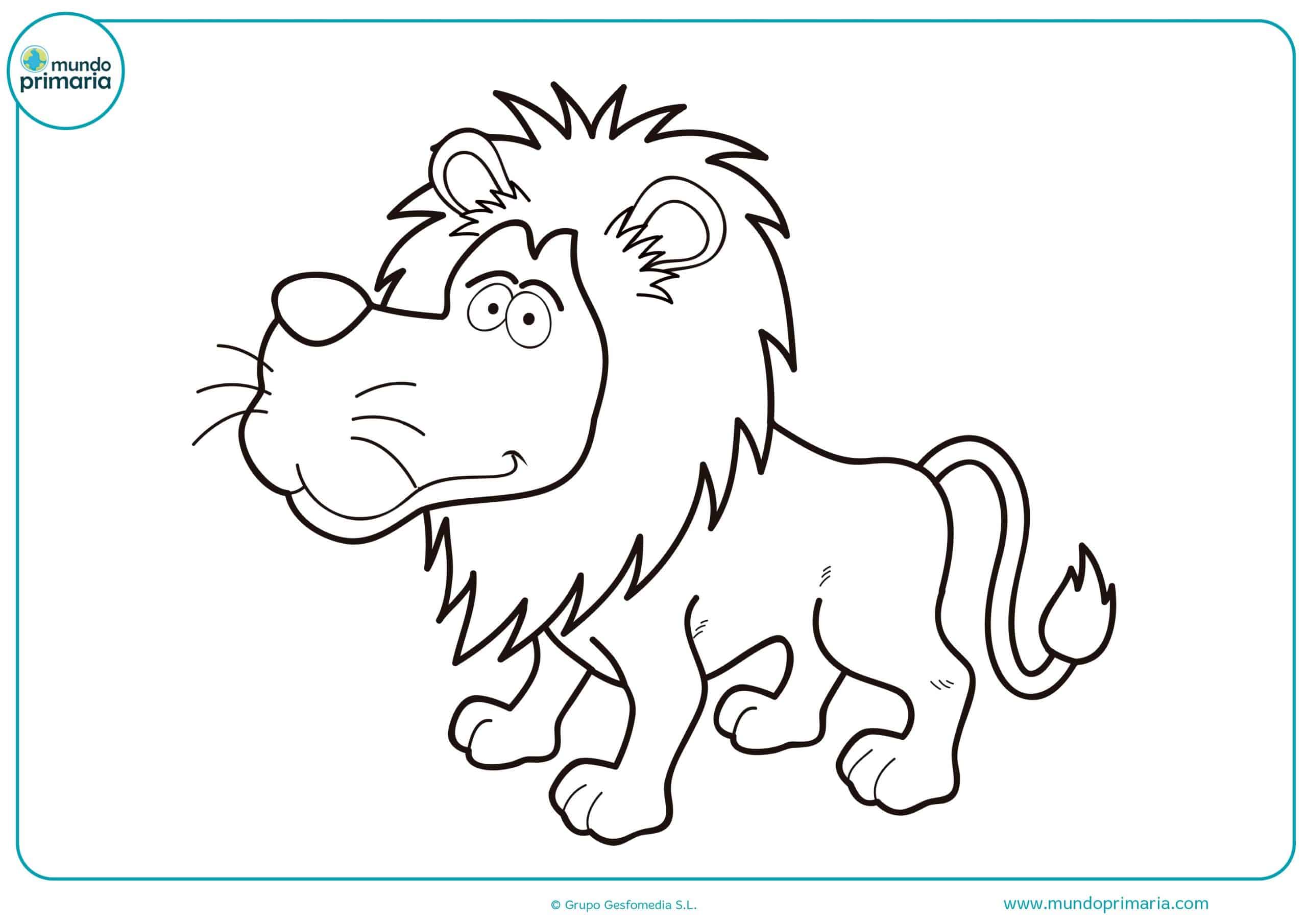 Animales De La Selva Dibujos Animales De La Selva Dibujos