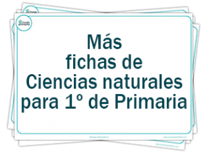Ejercicios de ciencias naturales - Mundo Primaria