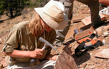 Qué es la paleontología y qué hace un paleontólogo?