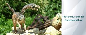 Compsognathus