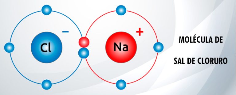 ⊛ El mol [Definición y usos]