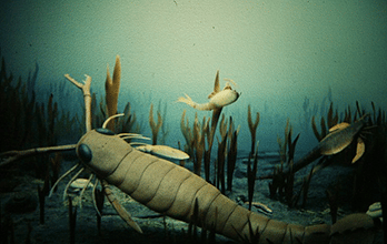 Continentes Paleozoicos Era Paleozoica | PDF