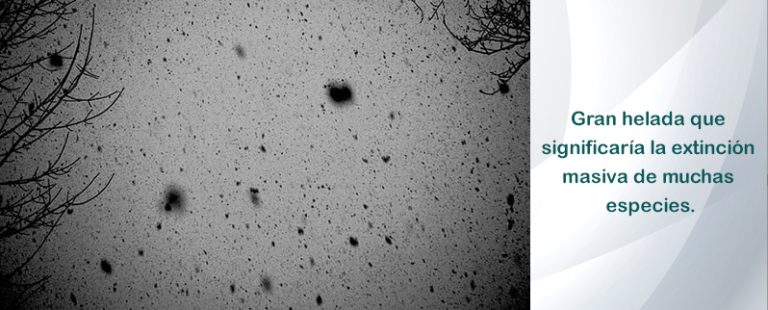 ⊛ Periodo Ordovícico