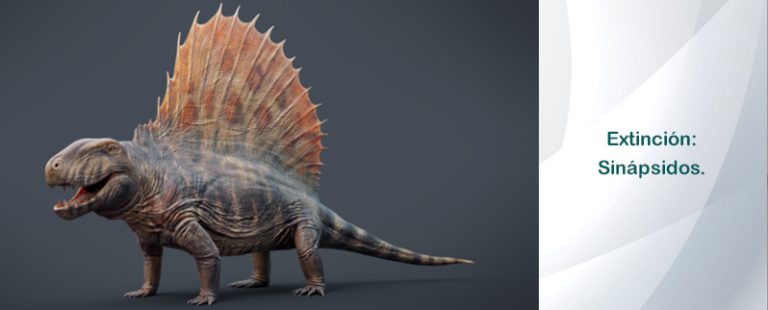 II Período Pérmico