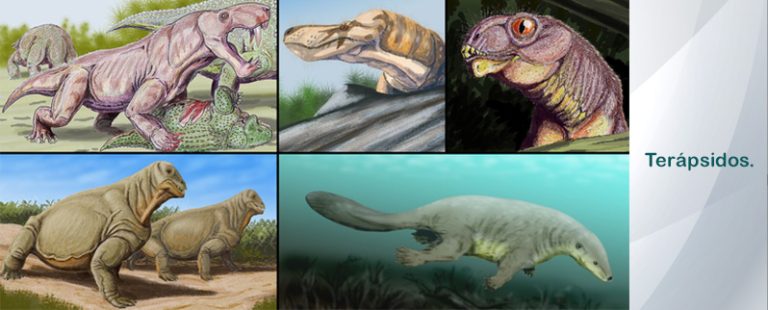 II Período Pérmico