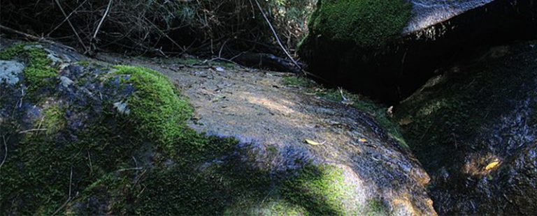 El período Silúrico