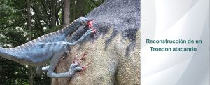 ⊛ Troodon