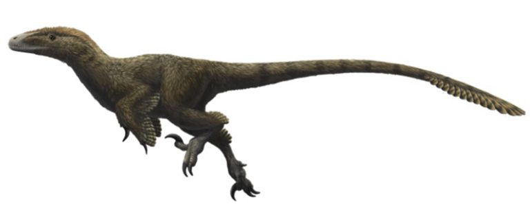 Utahraptor