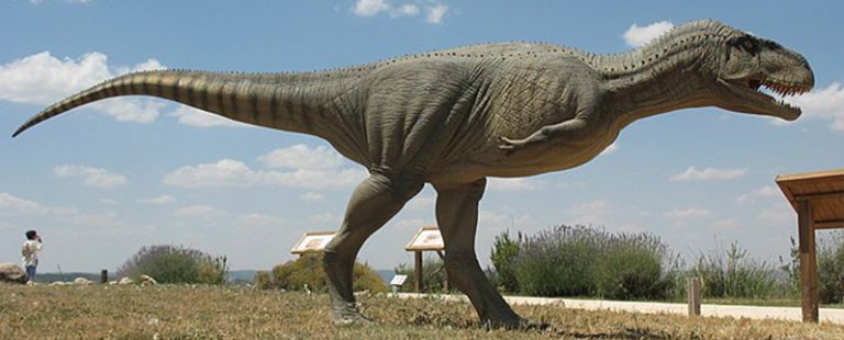 ⭐ Abelisaurus