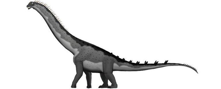 Alamosaurus
