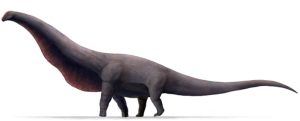 ⭐ Bruhathkayosaurus