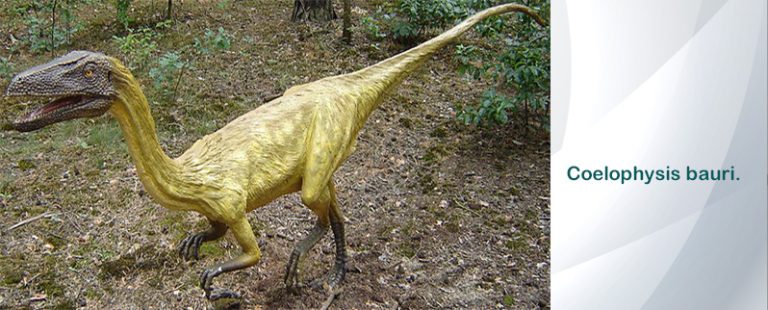 Sarcosaurus