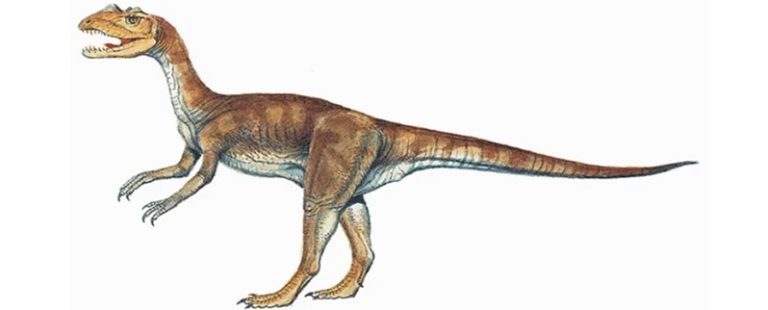 Sarcosaurus