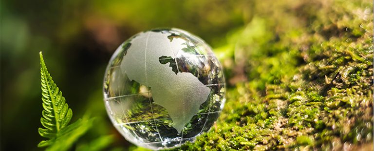 Datos curiosos y Curiosidades del mundo