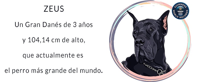 Perros más grandes del mundo